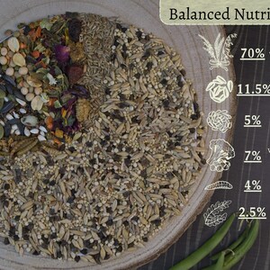 Mouse Forage Mix 1lb - German Style | 100% All-natural Ingredients - Etsy