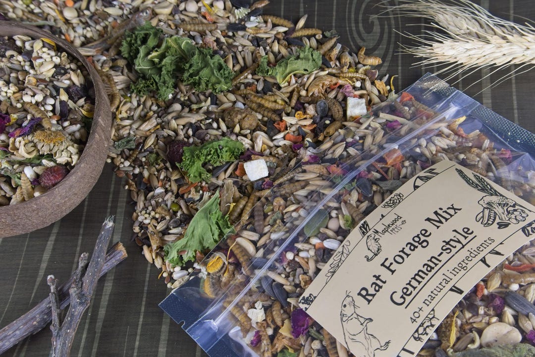 Rat Forage Mix 1lb - German-style | 100% All-natural Ingredients - Etsy