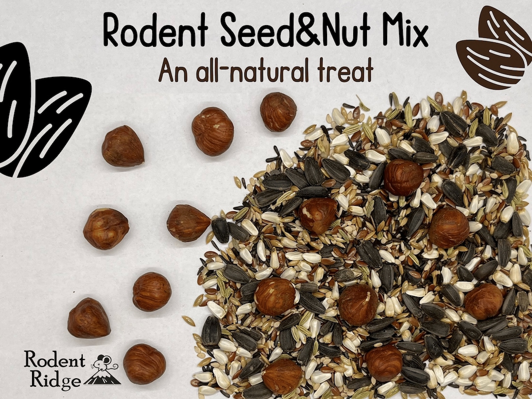Rodent Treat: Seed & Nut Mix for Rats, Mice, Hamsters, Gerbils - Etsy