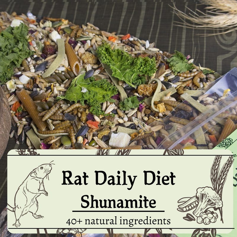 Rat Rodent Food - Etsy