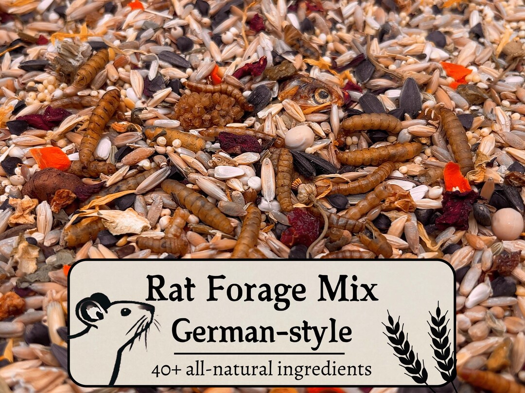 Rat Forage Mix 1lb German-style 100% All-natural Ingredients - Etsy