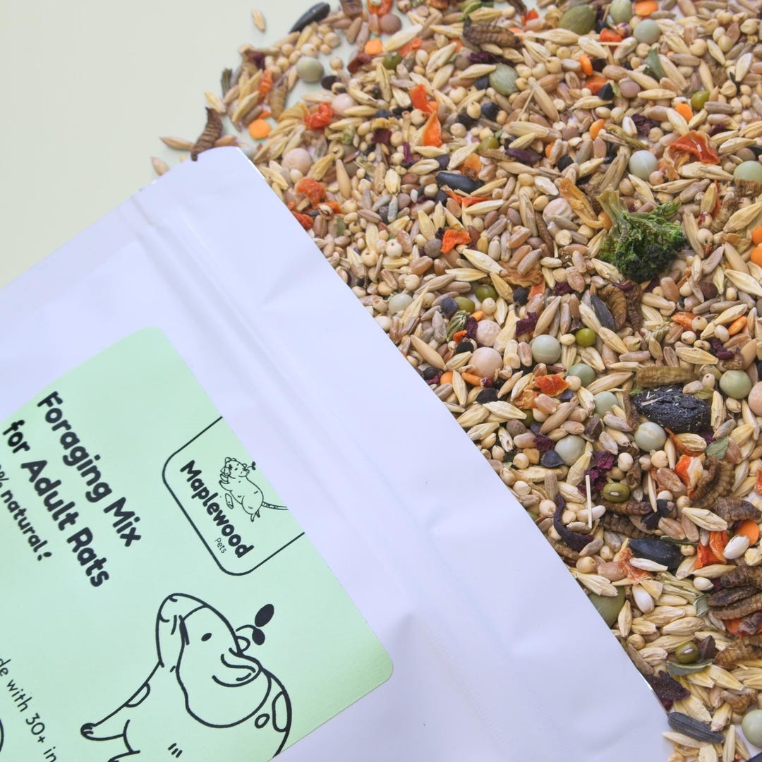 Rat Forage Mix | 100% Healthy, All-natural Ingredients - Etsy