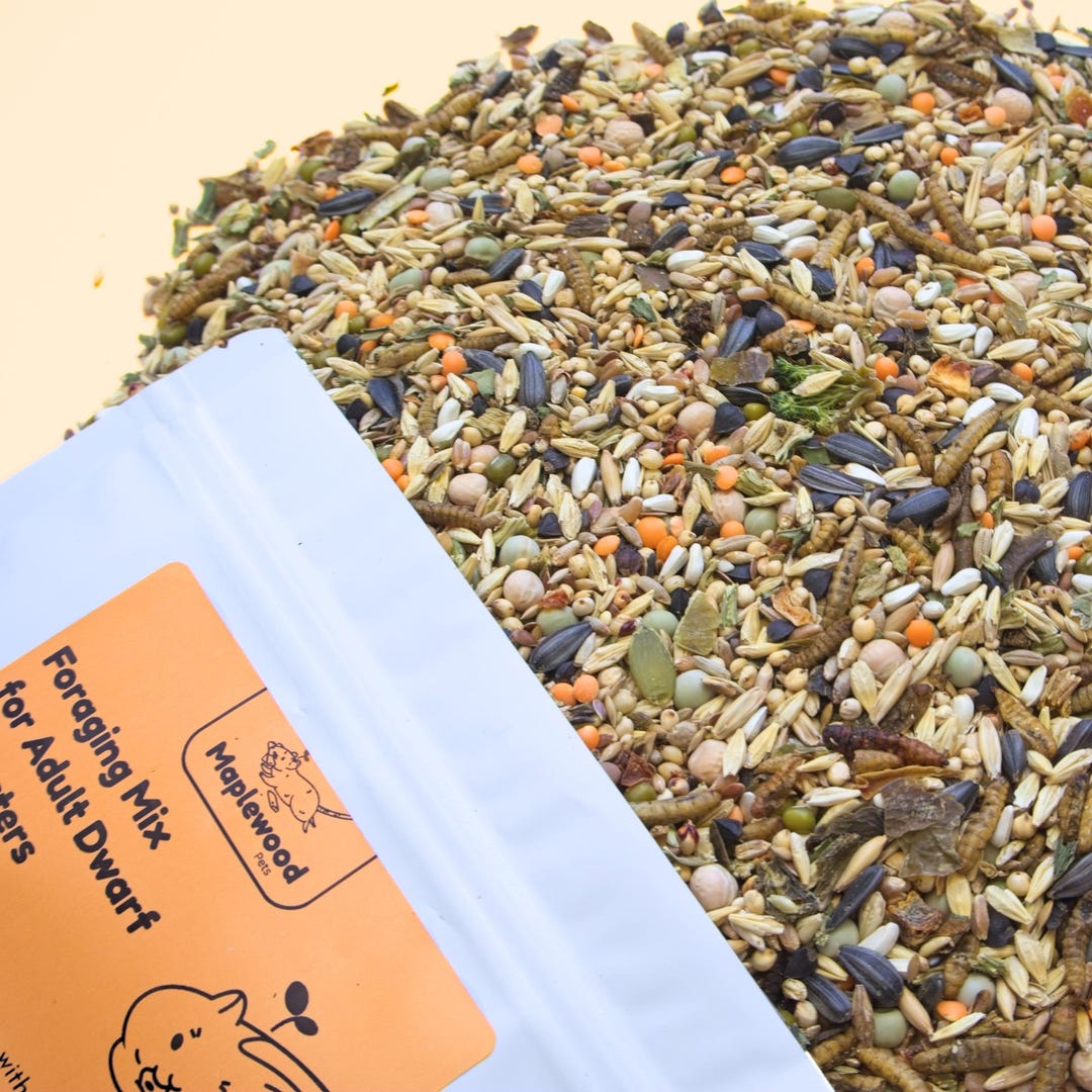 Dwarf Hamster Forage Mix | 100% Healthy, All-natural Ingredients - Etsy