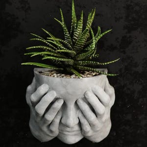 3D Printed Face Planter Wall Hanging: Unique Artistic Decor - Etsy