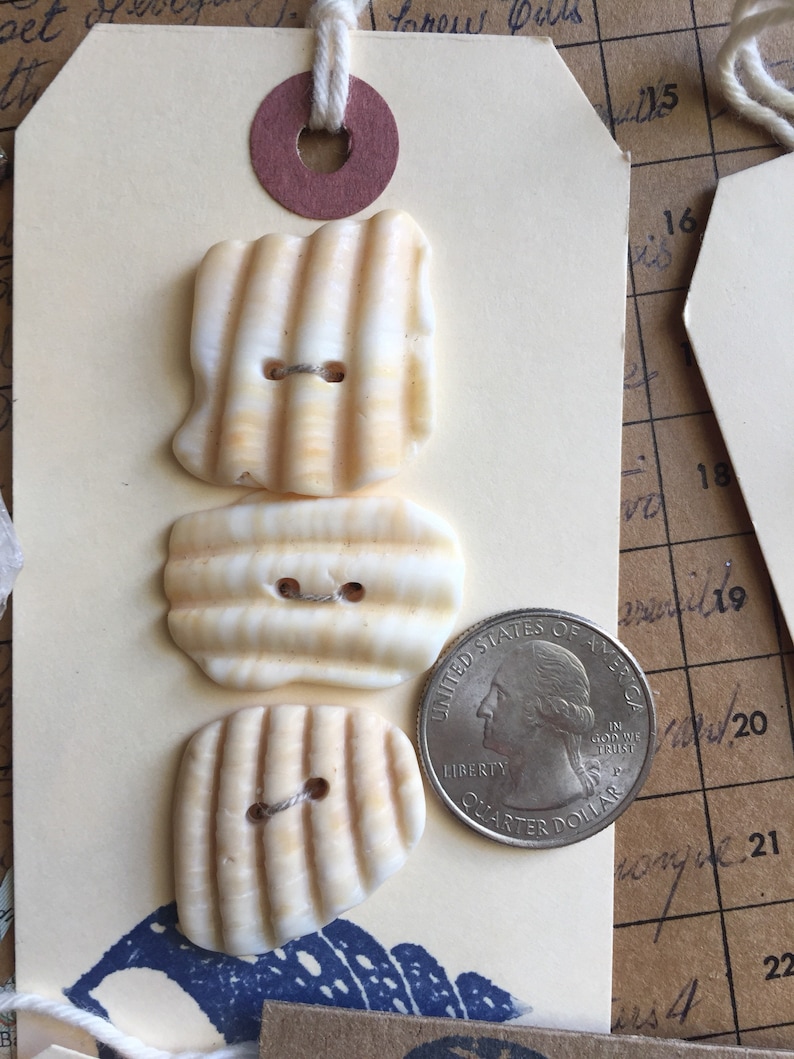 5 Natural Shell Buttons: Drilled Ocean Shards, Handmade Jewelry Making ...