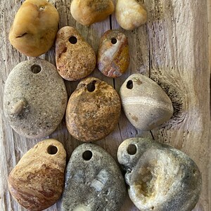11 EARTHLY STONES | Small Beach Fossil Petrified Wood Rock Shell ...
