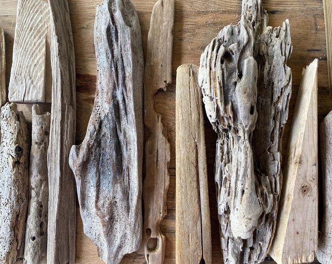 DRIFTWOOD Natural Beach Wood | Florida Ocean Theme Decor, Rustic Design ...