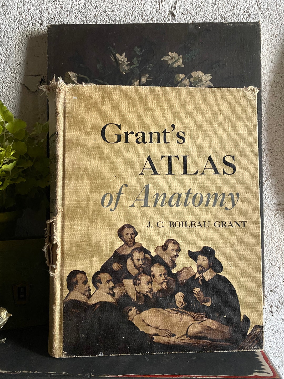 1963 grants Atlas of Anatomy Large Medical Book, Dissection, Colorful ...