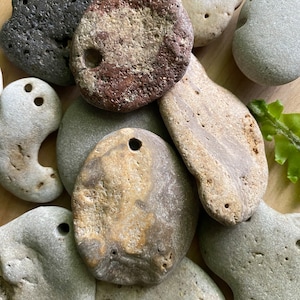 12 EARTHLY STONES | Beach Fossil Petrified Wood Rock Shell Jewelry ...