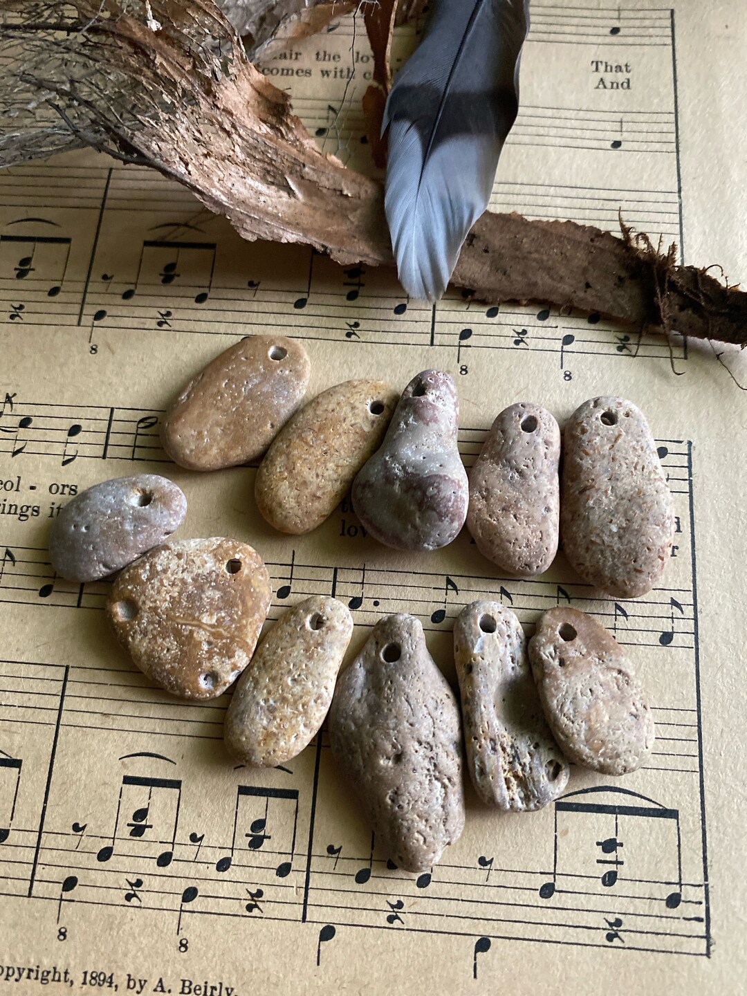 11 EARTHLY STONES | Beach Fossil Petrified Wood Rock Shell Jewelry ...