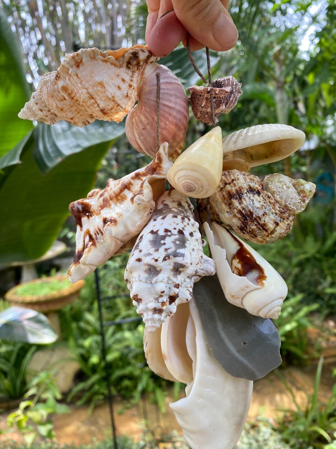 17 MERMAID Shell | Drilled Shards and Whole, for Jewelry Wind Chime Diy ...