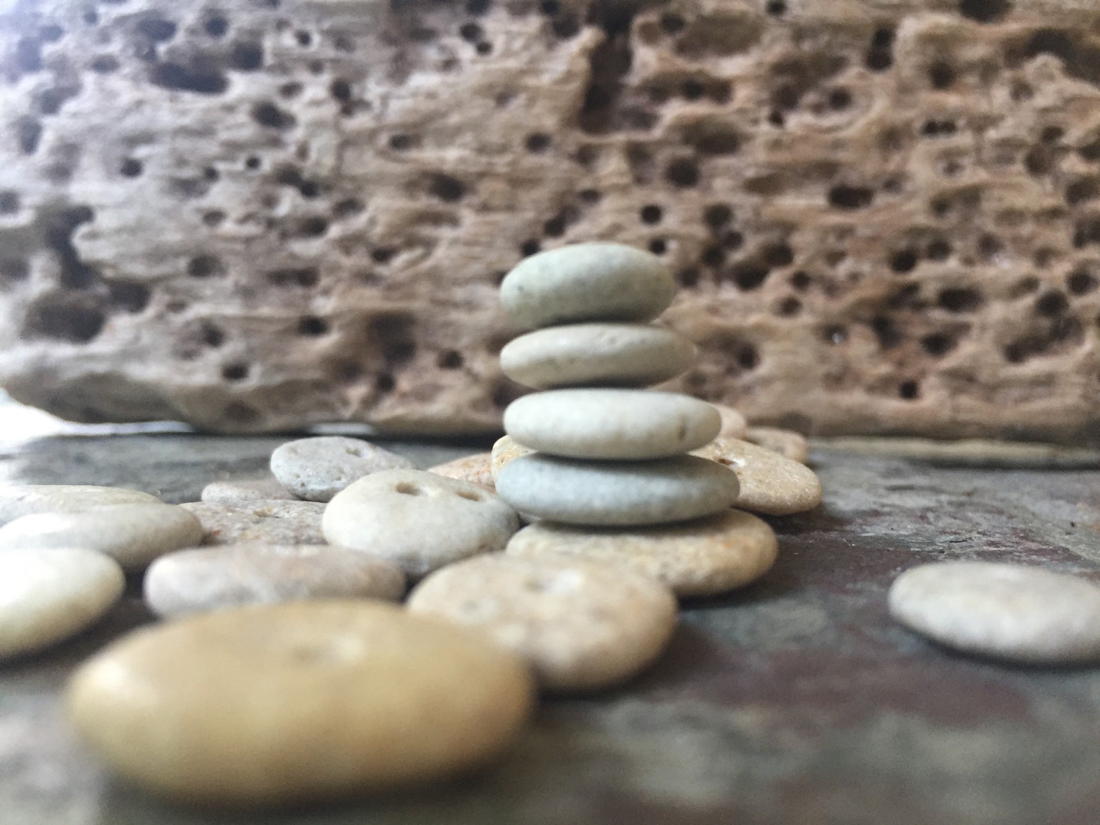 20 STONE BUTTONS 20 Natural Beach Found Stones Made Into - Etsy