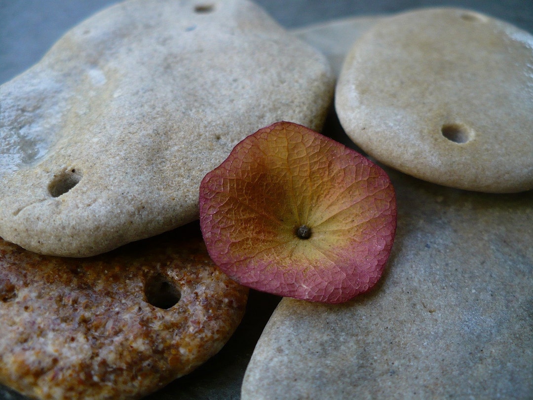 STONE LINKS 5 Large Drilled Beach Rocks Bracelet Pendant Jewelry ...