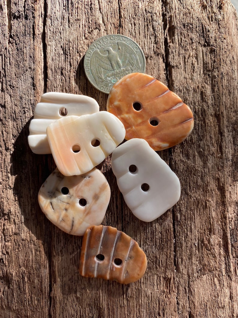 5 Natural Shell Buttons: Drilled Ocean Shards, Handmade Jewelry Making ...