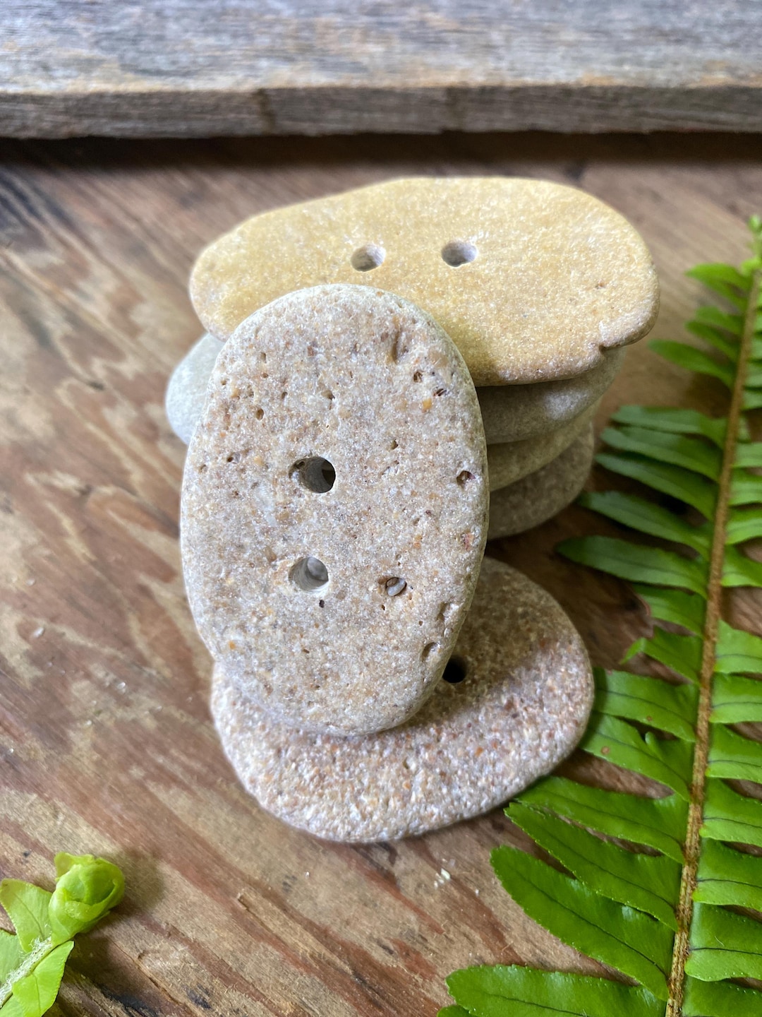 7 LARGE Stone Button | Beach Rock Drilled Into Buttons,2” Oval Earth ...