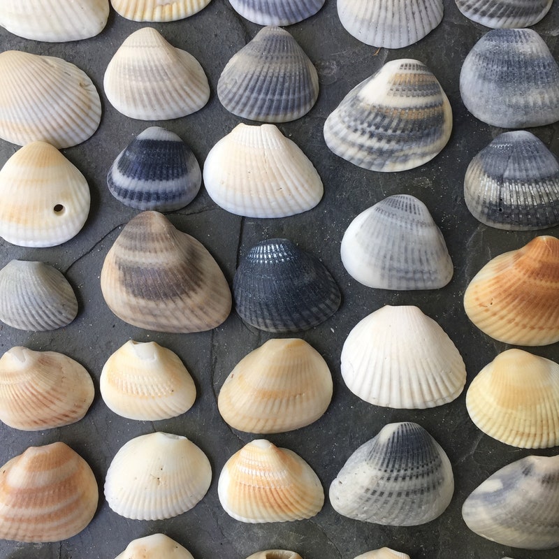 StoneButtonStudio - Etsy