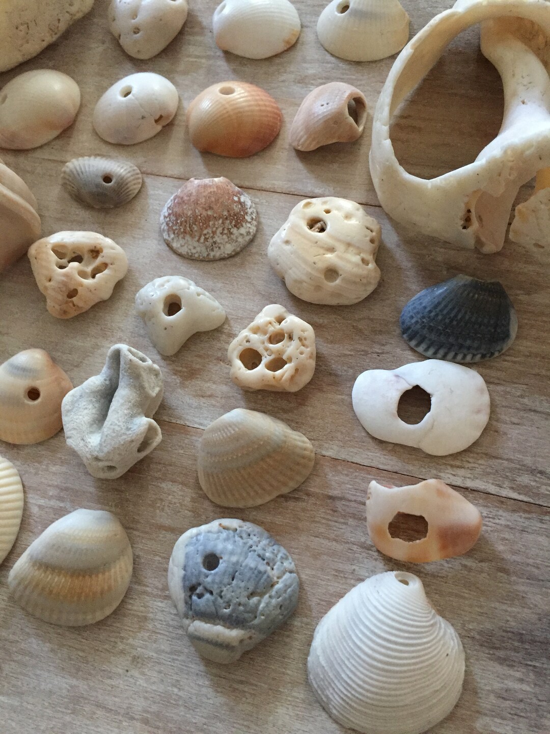 BEACH FINDS | 30 Shell Shards With Natural Holes,nautical Gift Wrap ...