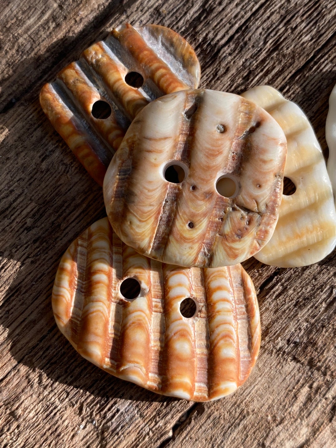 5 Natural Shell Buttons: Drilled Ocean Shards, Handmade Jewelry Making ...
