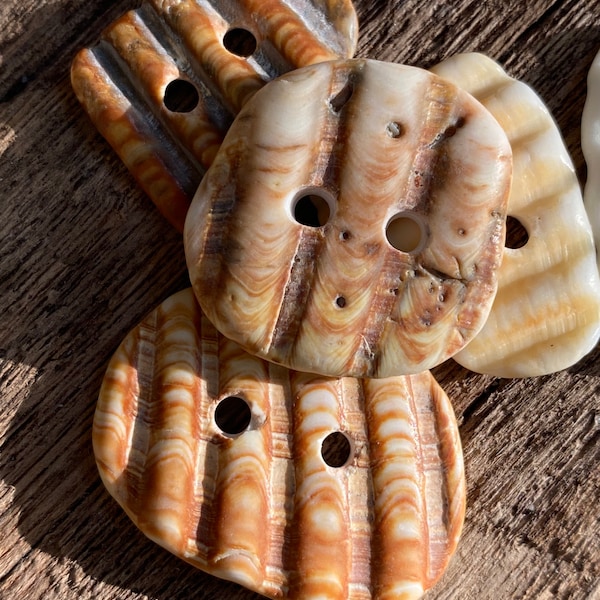 Clothing Buttons - Etsy