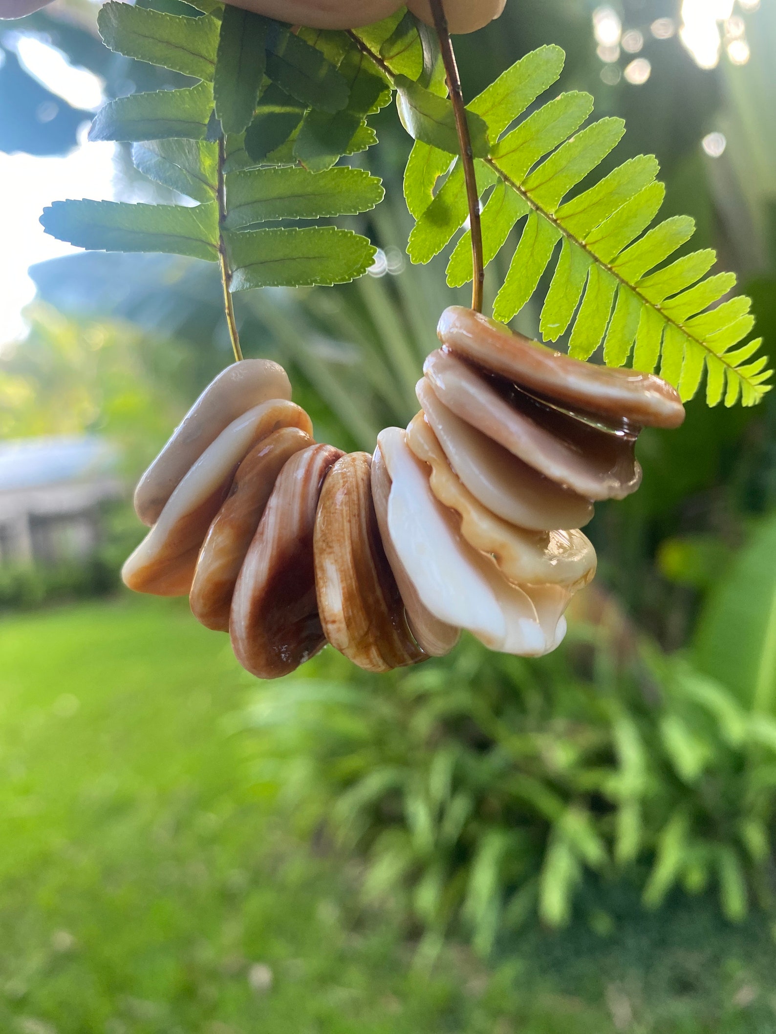 10 SMALL MERMAID Shells | Drilled Beach Shard 1”, Jewelry Wind Chime ...