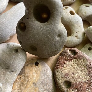 12 EARTHLY STONES | Beach Fossil Petrified Wood Rock Shell Jewelry ...