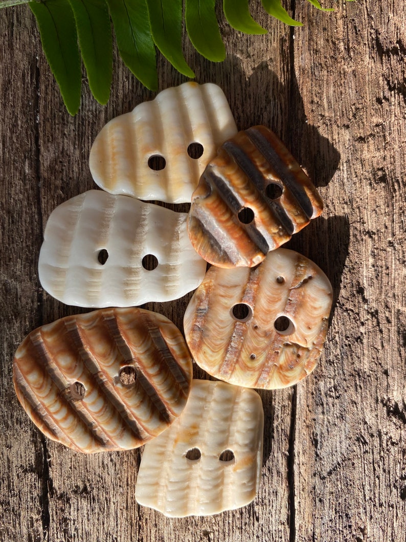 5 Natural Shell Buttons: Drilled Ocean Shards, Handmade Jewelry Making ...