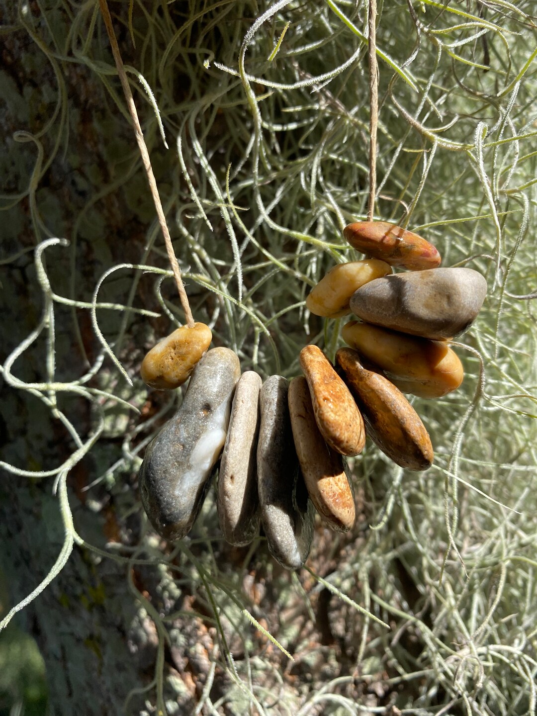 11 EARTHLY STONES | Small Beach Fossil Petrified Wood Rock Shell ...