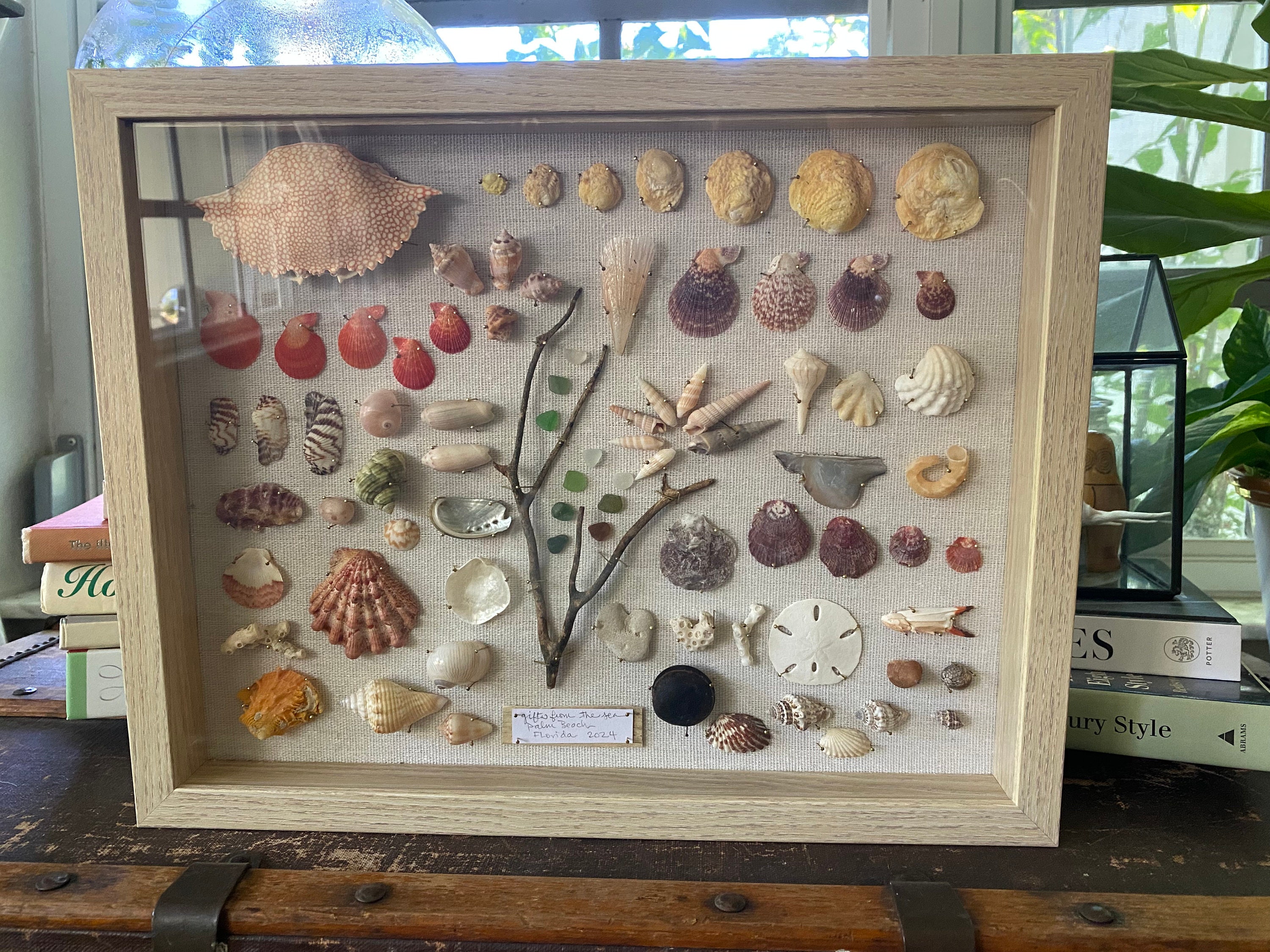 BEACH Shadowbox | Collage Shells Sea Glass Coral Beach Treasure Palm ...