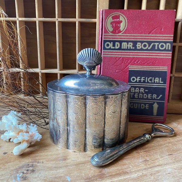Shell Container - Etsy