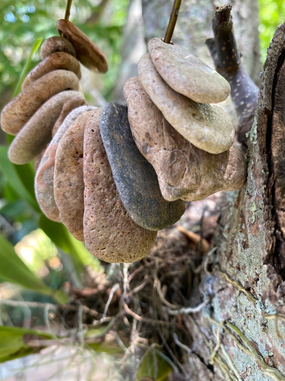 13 EARTHLY STONES Beach Fossil Drilled Rocks Jewelry Making - Etsy