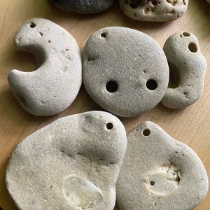 12 EARTHLY STONES | Beach Fossil Petrified Wood Rock Shell Jewelry ...