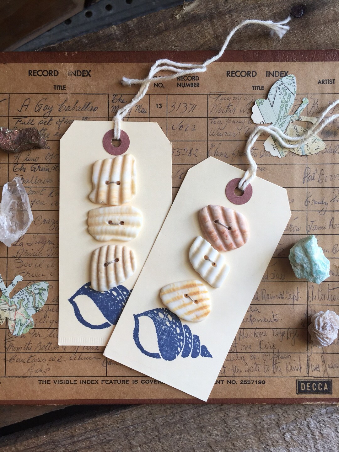 SHELL BUTTONS 3 Natural Ocean Beach Shell Shards Into Buttons Florida ...