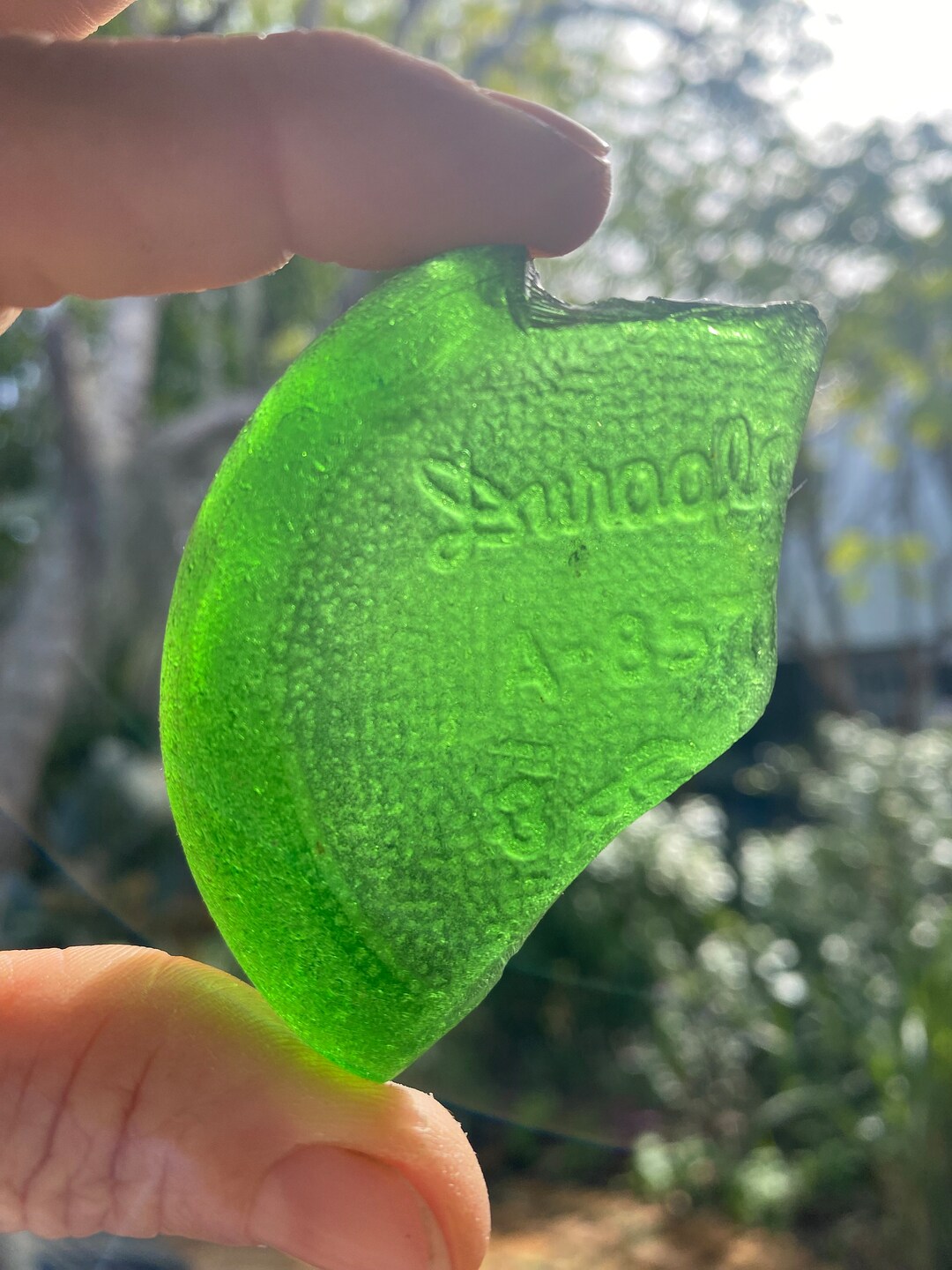 15 SEA GLASS Bottle Bottoms | Chunky Glass Bottle Shards, Rustic ...