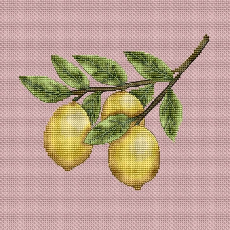 Lemon Cross Stitch Pattern Needlepoint Canvas Fruit Modern Ornament ...