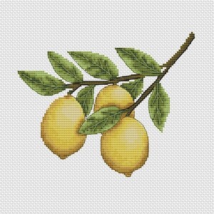 Lemon Cross Stitch Pattern Needlepoint Canvas Fruit Modern Ornament ...
