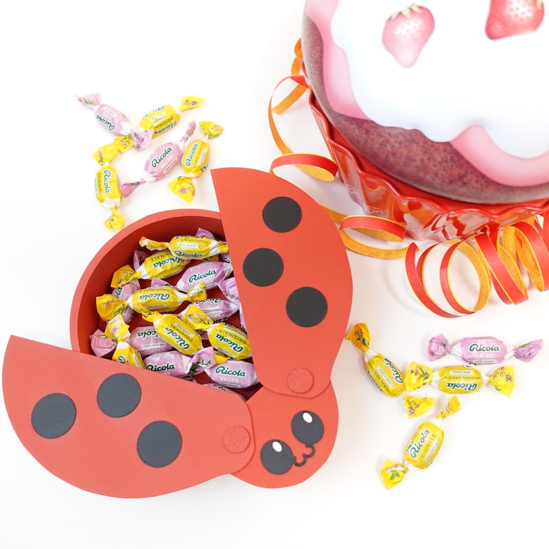 Miraculous Ladybug Miracle Box - Etsy