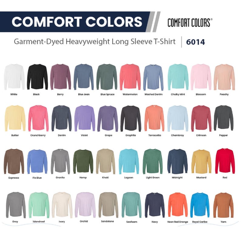 Comfort Colors Indivisible Protest Shirt, Anti Trump Activism Tee ...