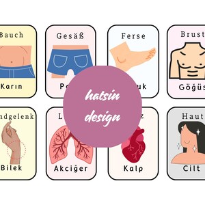 30 BILINGUAL Turkish German BODY PARTS Flashcards - Digital Download ...