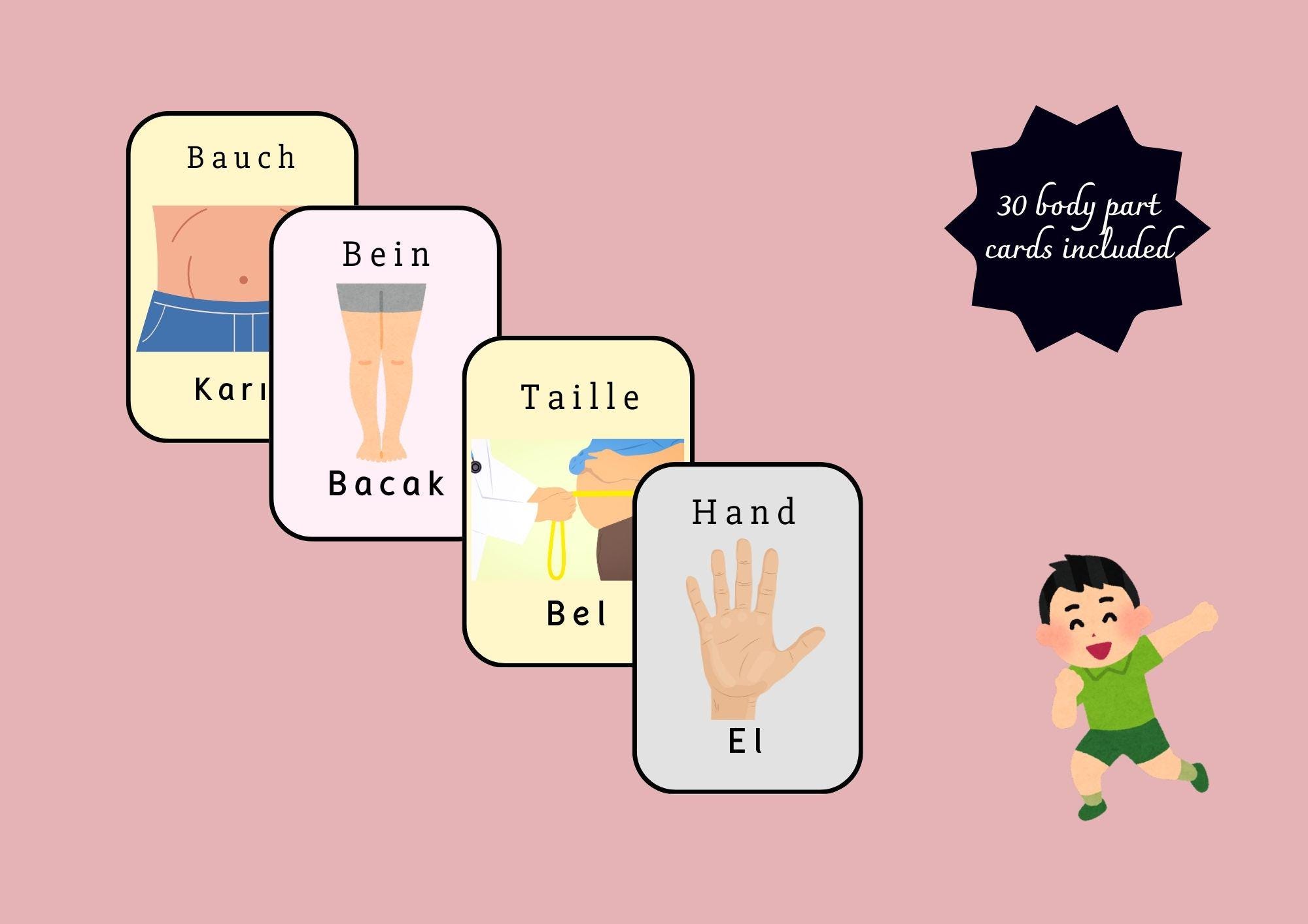 30 BILINGUAL Turkish German BODY PARTS Flashcards - Digital Download ...