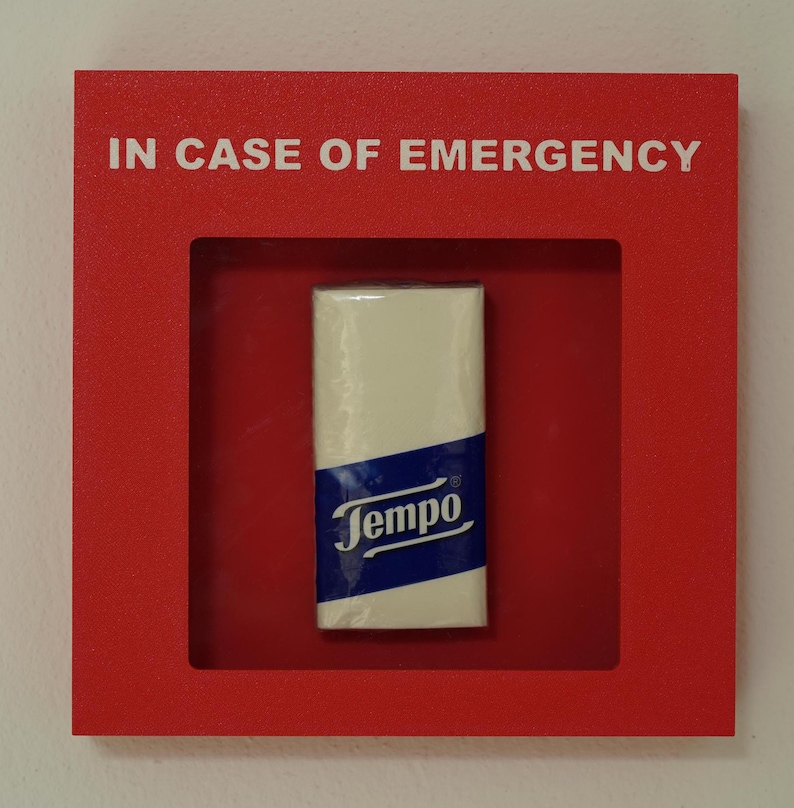 Customizable "in Case of Emergency" Box Unique Gift Idea for Friends ...