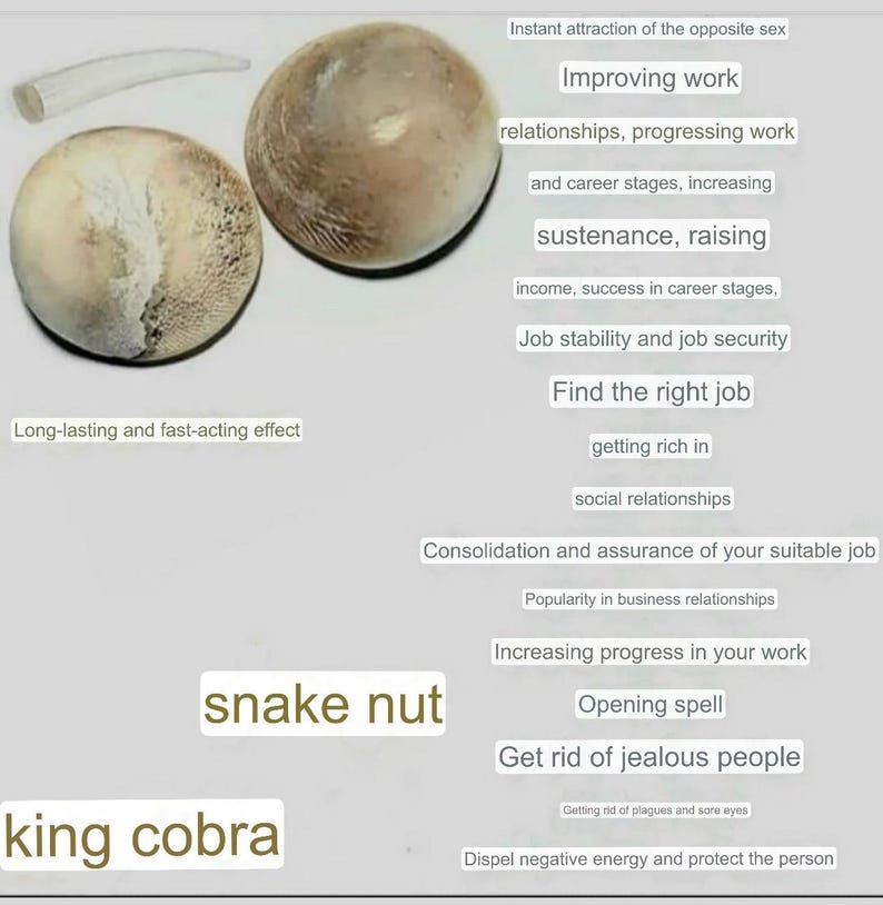 Hardcore Powerful Snake Pearl Snake Stones Cobra Stone POWERFUL ...
