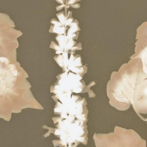 Unique 8x10 LUMEN PRINT of a Ivy Vine and Flowers With Grey, Brown ...