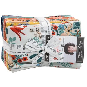 Lady Bird Moda Fat Eighth Bundle 30 9x22 Fat - Etsy