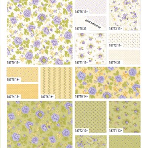 Georgia Moda Layer Cake, 42 - 10" Precut Fabric Quilt Squares by Brenda ...