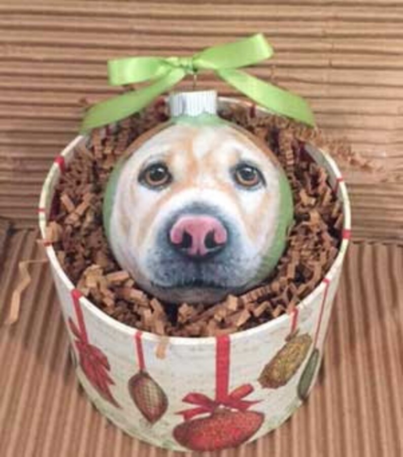 Gift Certificate Custom Hand Painted Pet Portrait on an | Etsy