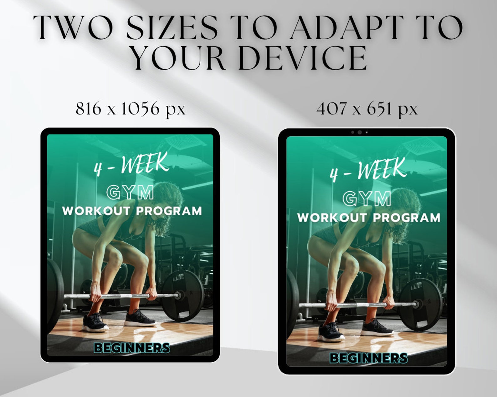 4 Week Gym Workout Program for Beginners, Digital Workout Program ...