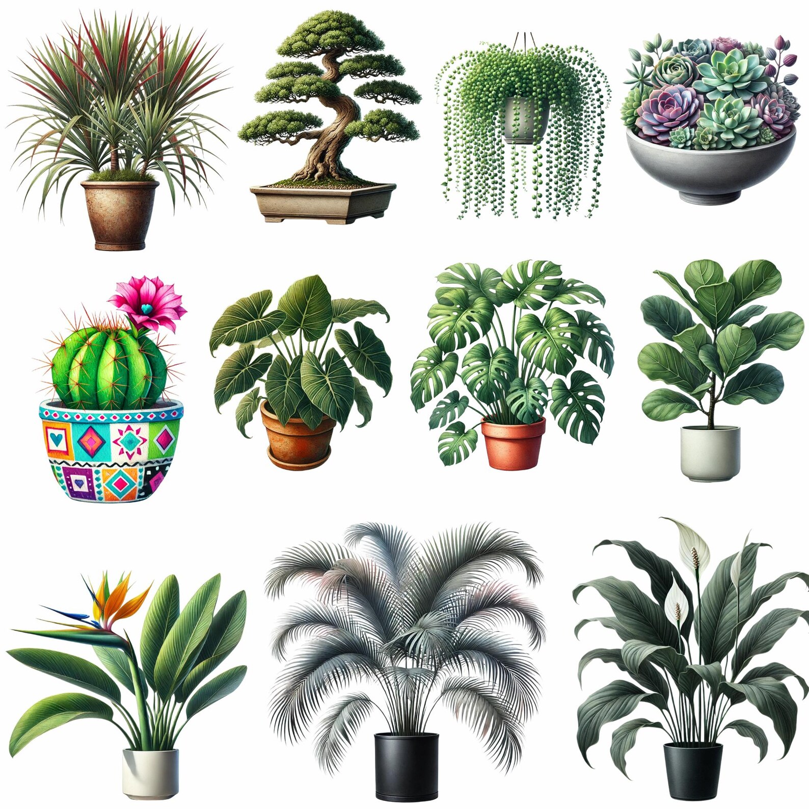 Watercolor Indoor Plants Clipart: 20 PNG Illustrations (300 DPI) - Etsy