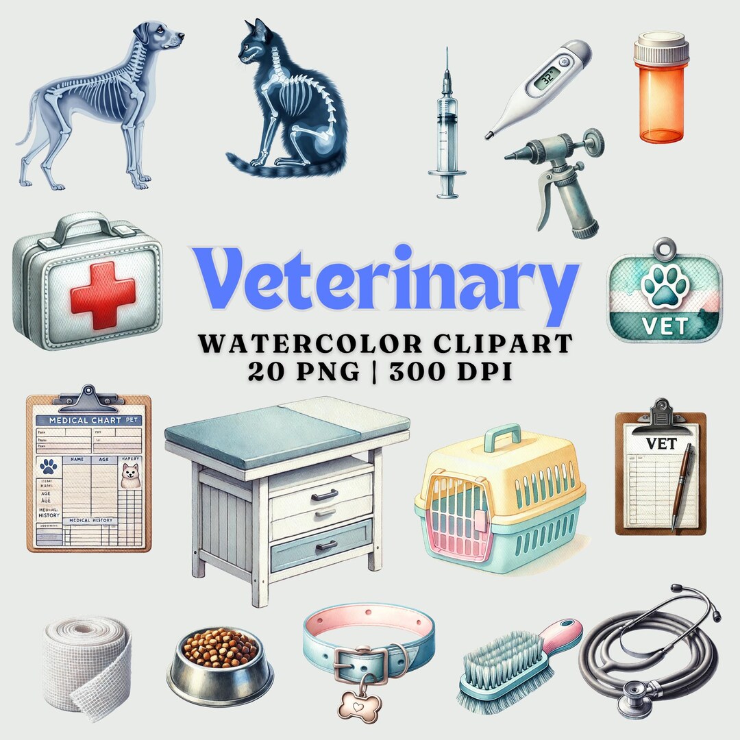 Veterinary Watercolor Clipart Set, 20 Pngs, Pet Clinic Elements, 300 ...