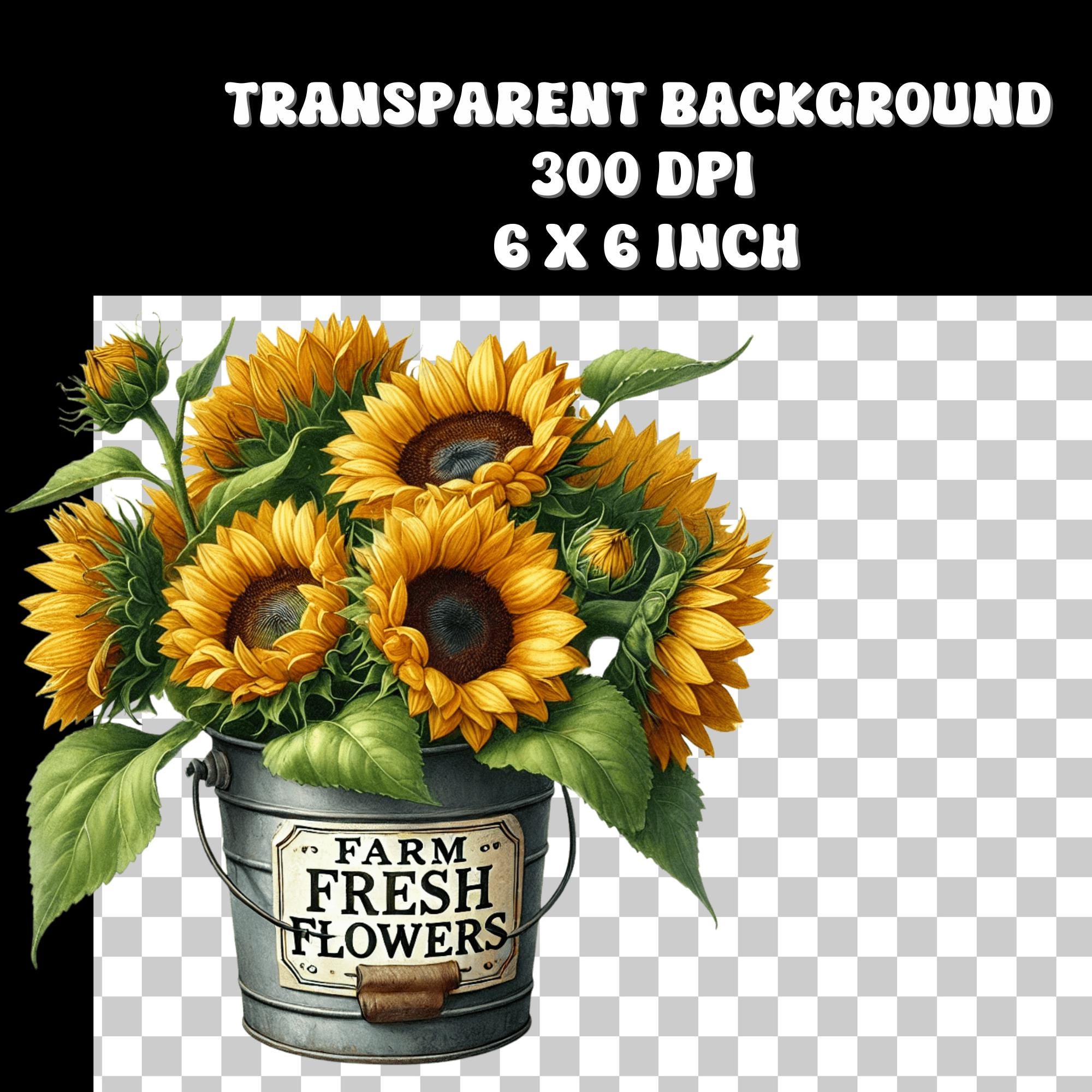 Farmer's Market PNG Bundle, Vintage Farm Fresh Clipart, Organic Food ...