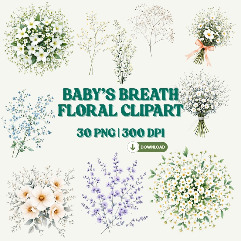 Baby's Breath Watercolor Clipart: Floral Bouquets (digital Download) - Etsy